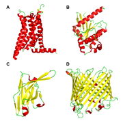 Семинар: Дизайн простых фолдов белка вручную. — Шаг 1 — Stepik