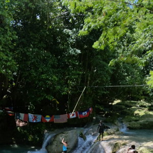 Guest Hub - Inclusive Island Tour