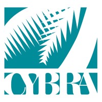 CYBRA Reviews & Product Details