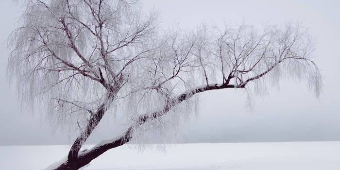 Bandcamp_joe - Bandcamp Winter I