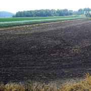 Факторы производства: земля, капитал, труд и предпринимательство — Шаг 1 — Stepik