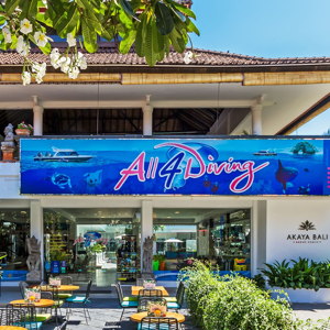 All 4 Diving Indonesia