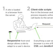 2.1 Teoria - Historia i przypomnienie HTML oraz CSS — Шаг 1 — Stepik