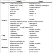 Case of study — Шаг 1 — Stepik