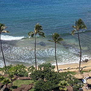 Tyler McCarty and Samantha Obuch's Wedding Registry on Zola