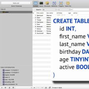 BOOL, ENUM, SET — Stepik