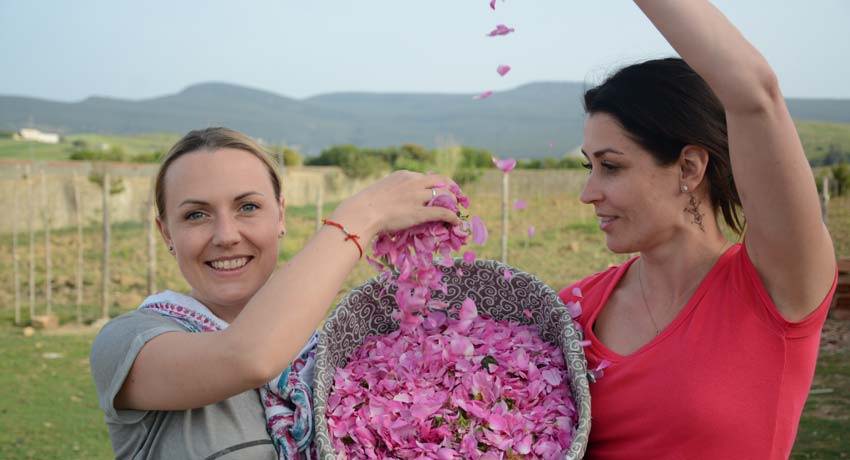 Katar | Ancient Mediterranean Beauty. Pure. Timeless. Elemental. – Katari Beauty