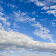 Свобода и ответственность — Шаг 1 — Stepik