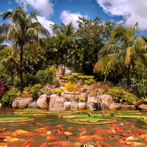 Guest Hub - La Rinconada Ecoparque & Resort