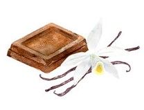 How is the Elemental Diet Helpful? - Dr. Michael Ruscio, BCDNM, DC