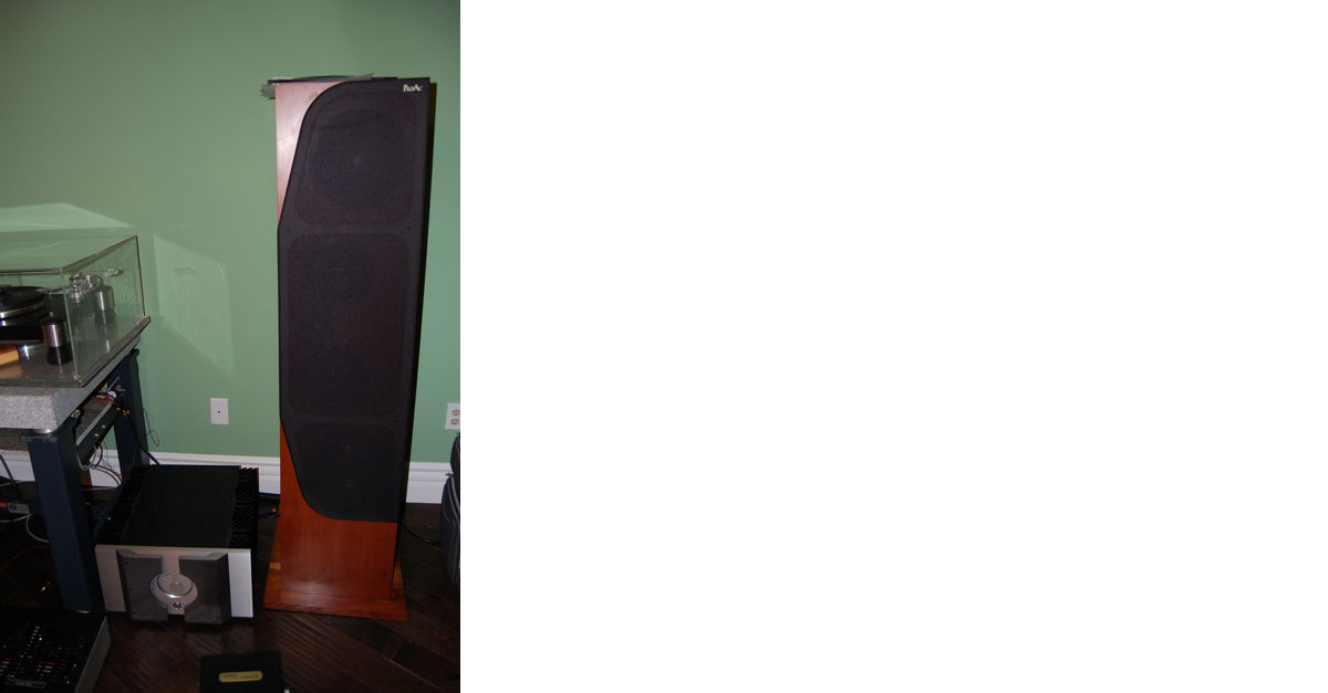 PROAC RESPONSE 4 class a rare birds eys m... For Sale | Audiogon