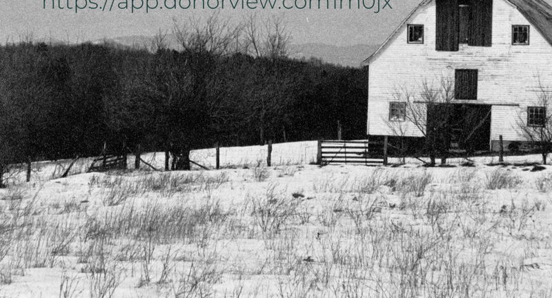 River View Farm Tour | Jan 15 | C-ville Weekly