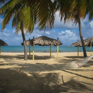 Guest Hub - Tamarind Reef Resort, Spa & Marina