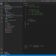 Модификатор late — Шаг 2 — Stepik