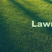 Reading task — Шаг 2 — Stepik