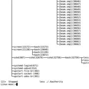 Жизненный цикл процесса в Linux — Stepik