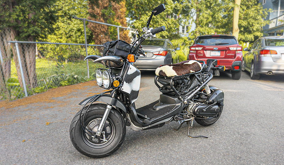 HONDA NPS50 RUCKUS for rent near Somerville, MA