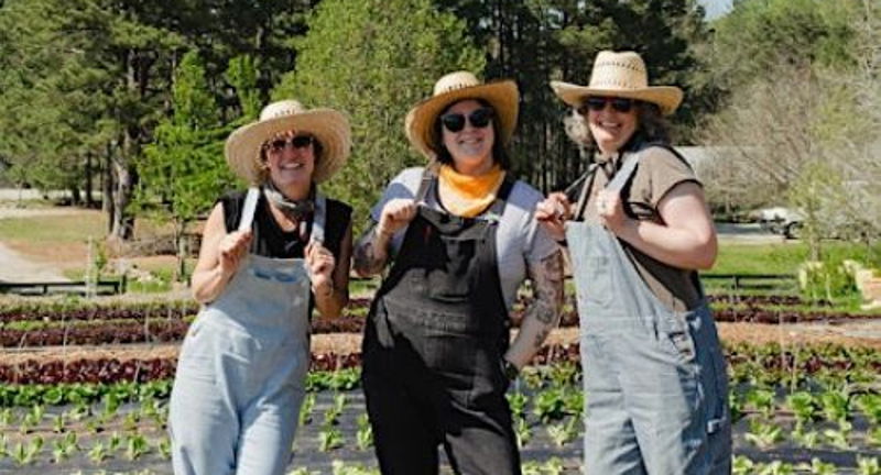 Farm Volunteer Day | Oct 16 | Serenbe Farms | Access Atlanta