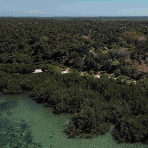 Guest Hub - Eco Shamba Kilole Lodge