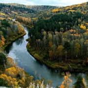 Materials for Module — Шаг 1 — Stepik