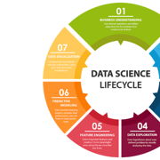 Where does a data scientist usually work? — Шаг 1 — Stepik