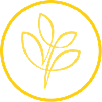 MOUNTAIN – Everleaf Drinks