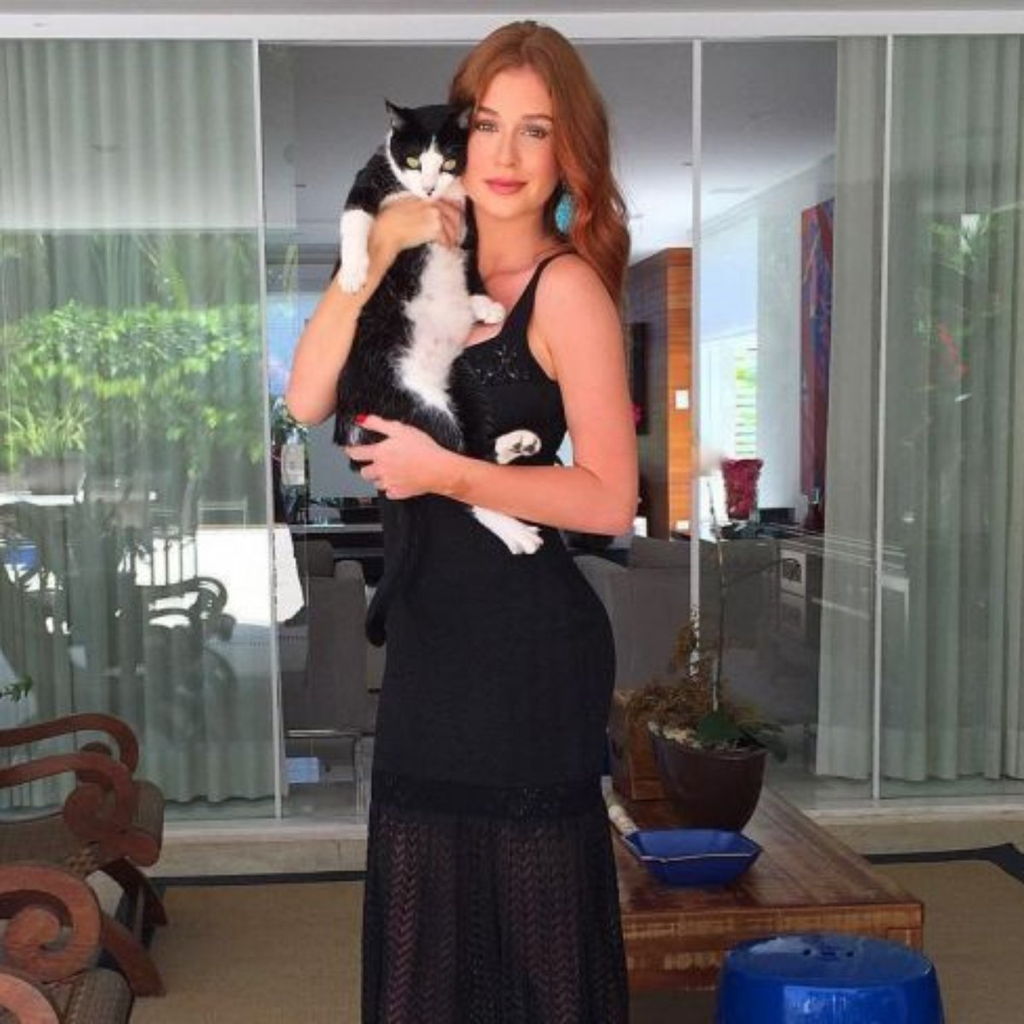 Home PT - Senhor Gato