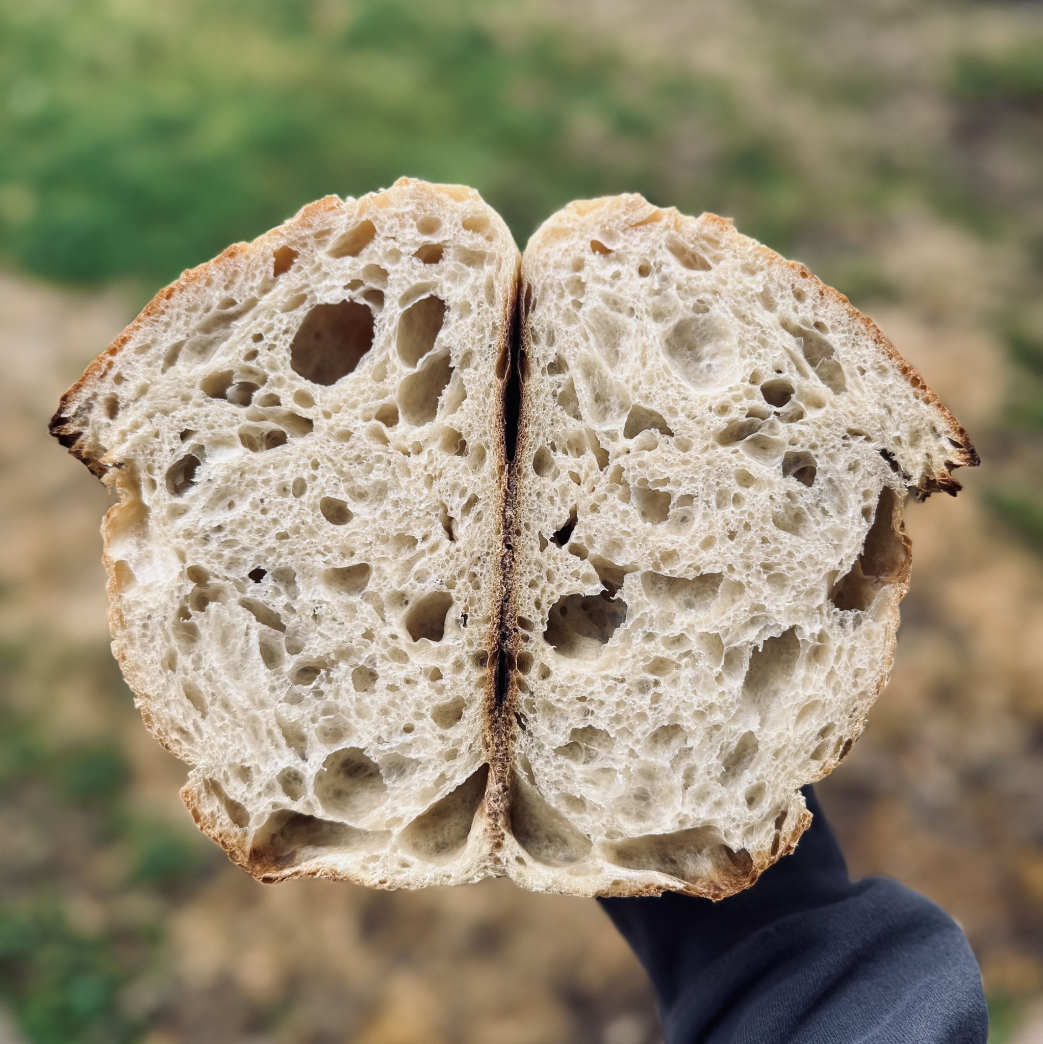 Victoria’s Little Bread House
