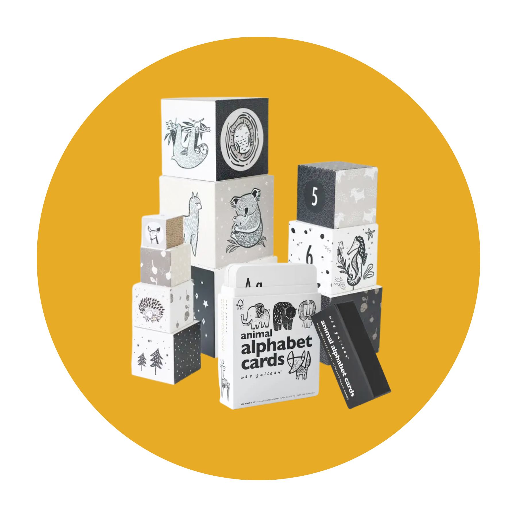 Discovery Boxes - Redeem – HoneyBug