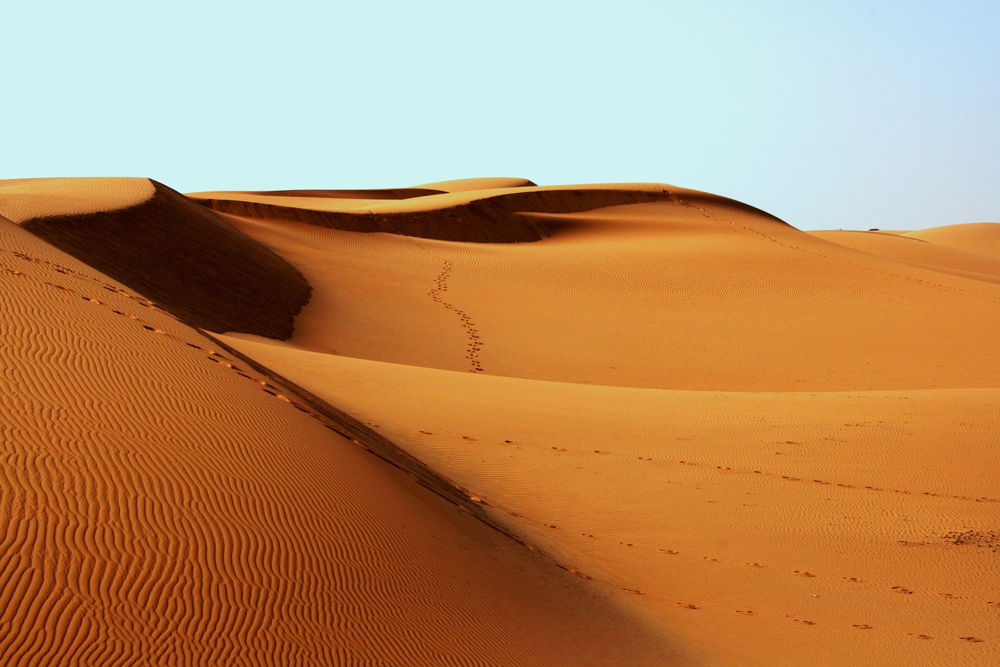 Make Quicksand