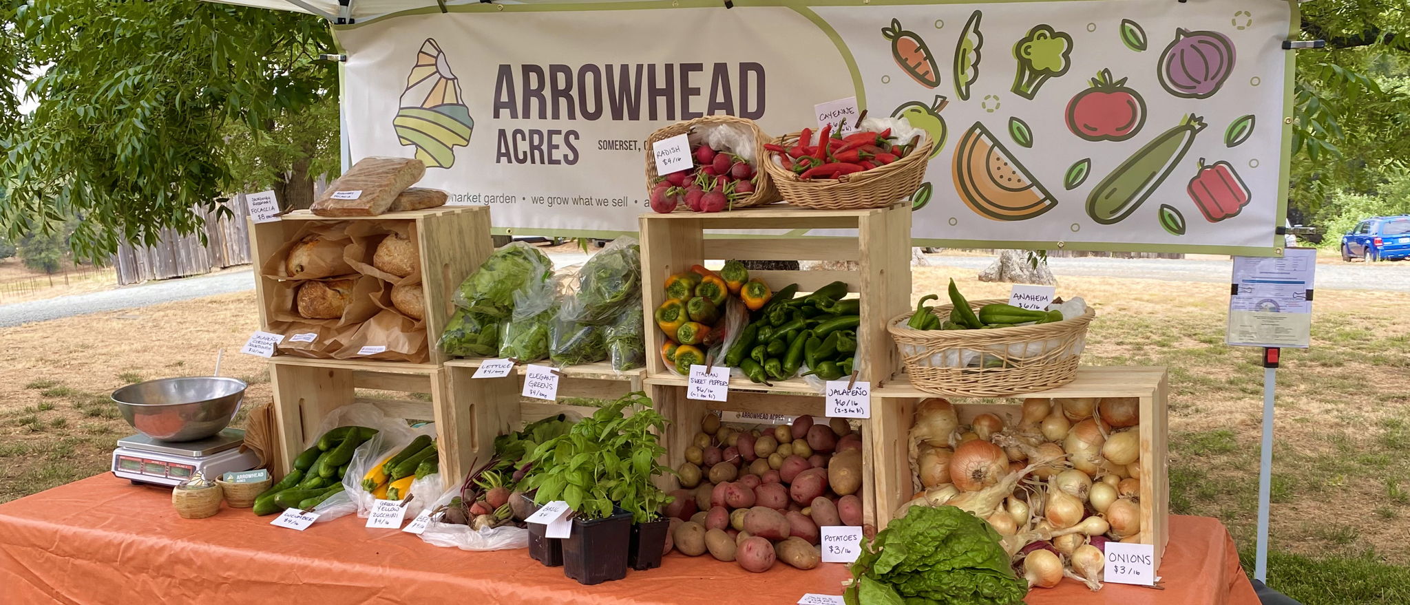 Arrowhead Acres