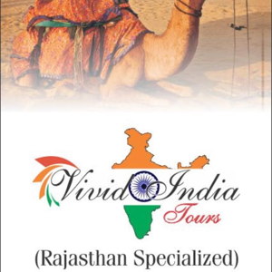 Vivid India Tours