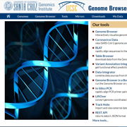 UCSC: A graphical viewing tool of genomic data — Шаг 1 — Stepik