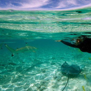 Guest Hub - Bora Bora Onoku Services