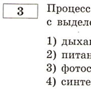 Задание 3 — Шаг 13 — Stepik