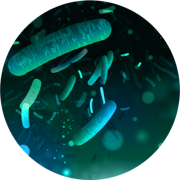 Взаимодействие микроорганизмов и иммунных механизмов в кишечнике — Шаг 1 — Stepik