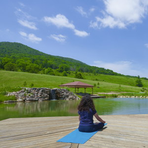 Eupepsia Wellness Resort