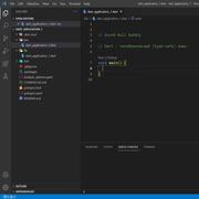 Что такое Null Safety? — Шаг 1 — Stepik
