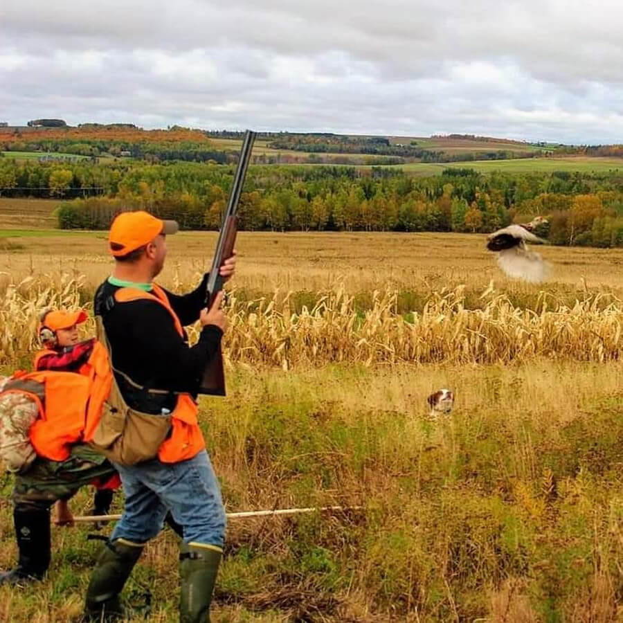 Maine Upland Guide Service - Book Your Trip - Mallard Bay