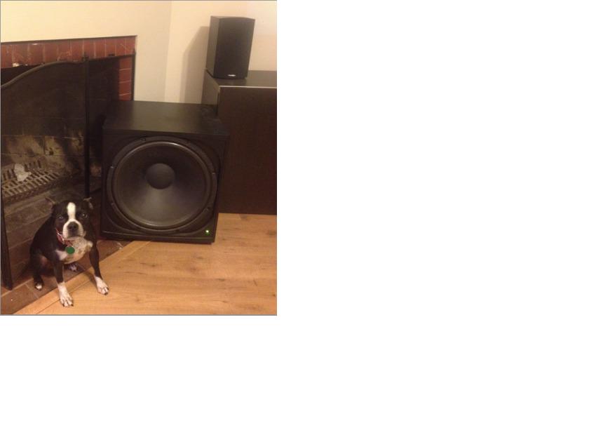 Triad Platinum Powersub 18 | Subwoofers | Audiogon