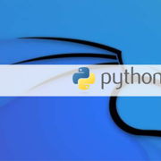 Python для технического специалиста — Шаг 1 — Stepik