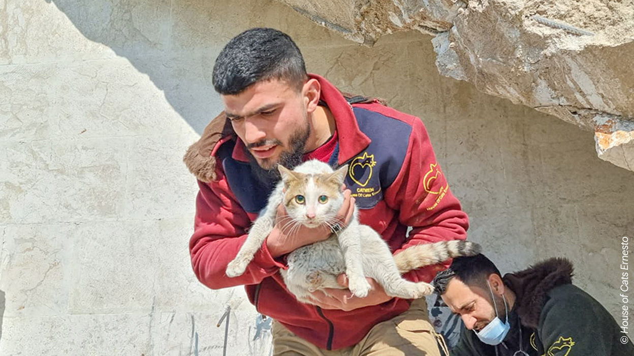 Animals in Northern Syria are in crisis. Give before midnight on NYE to ...