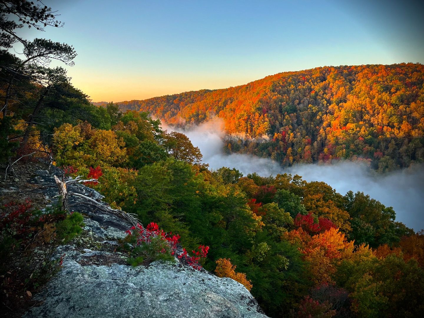 Autumn in Eastern KY is showing off in full... - MakeMyMove