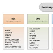 Основы SQL: создание запросов — Stepik