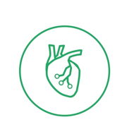 3D приложение на Unity — Шаг 1 — Stepik