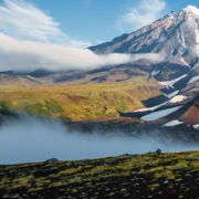 Final Activity for Module 1 (quiz part 1) — Шаг 1 — Stepik