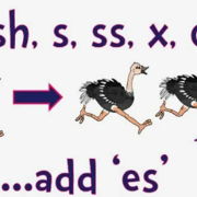 Plural Nouns Ending in -S, -SS, -SH, -X, -CH, -O — Шаг 1 — Stepik