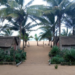 Guest Hub - Farafina