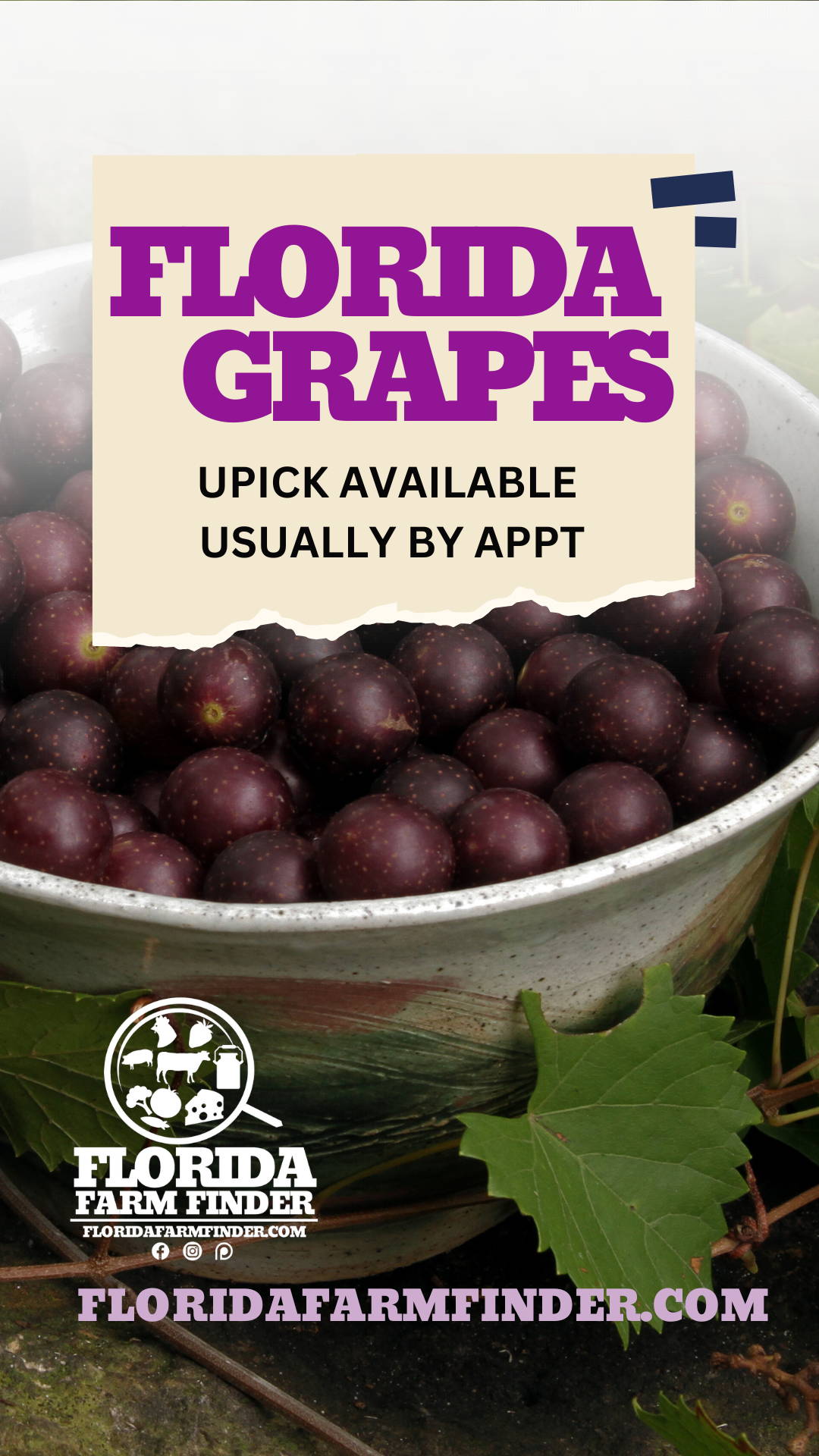 Find Local Foods | Strengthen Local Agriculture | Florida Farm Finder