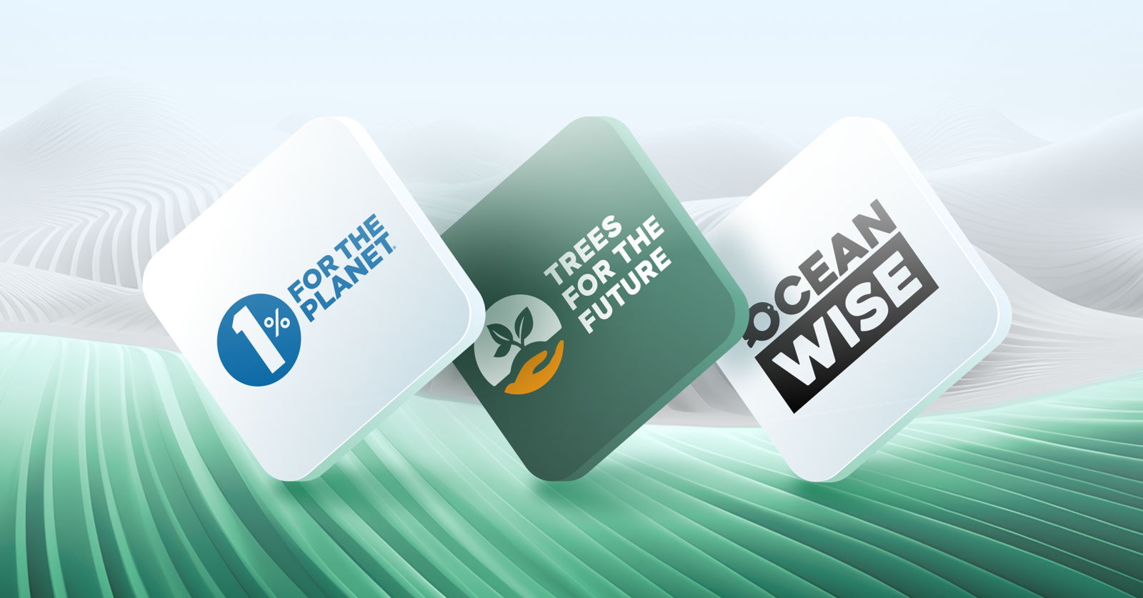 Personalizing the donor experience: how 3 environmental nonprofits ...